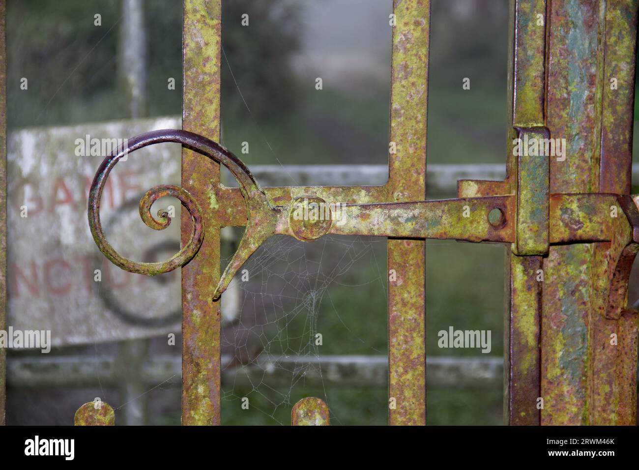 Beautifully decorated closure of a rusty gate Stock Photo - Alamy