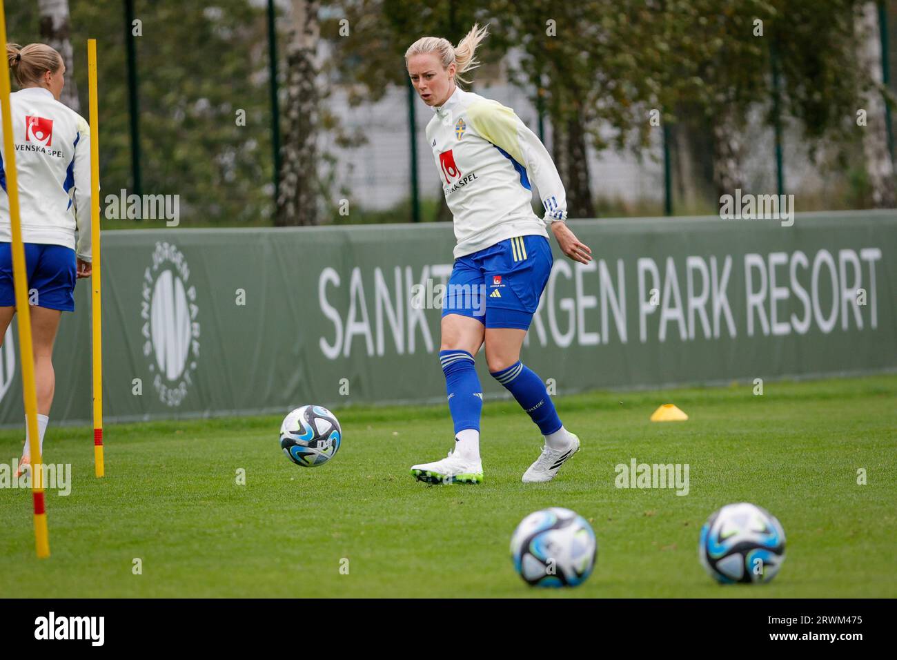 Sweden's Amanda Ilestedt in action during a women's national soccer ...