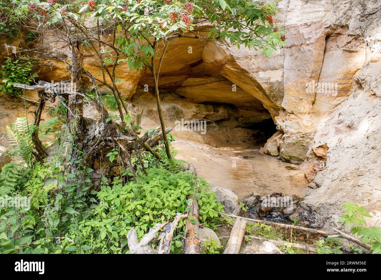 Taevaskoja Emaläte spring in Estonia, called Mother Source. Pure cold ...