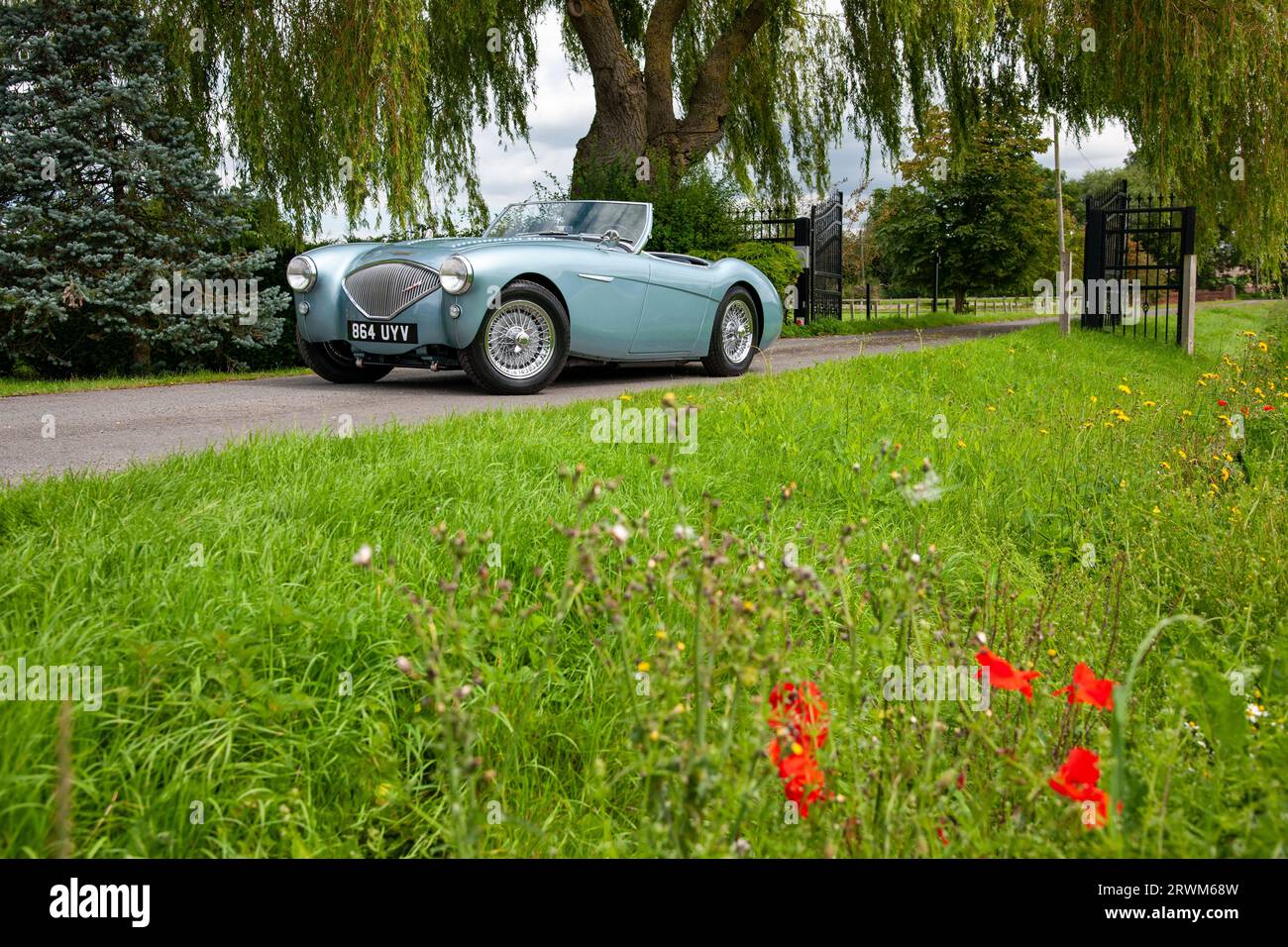 Austin Healey 100 Le Mans parked in front of a gate on a country lane ...