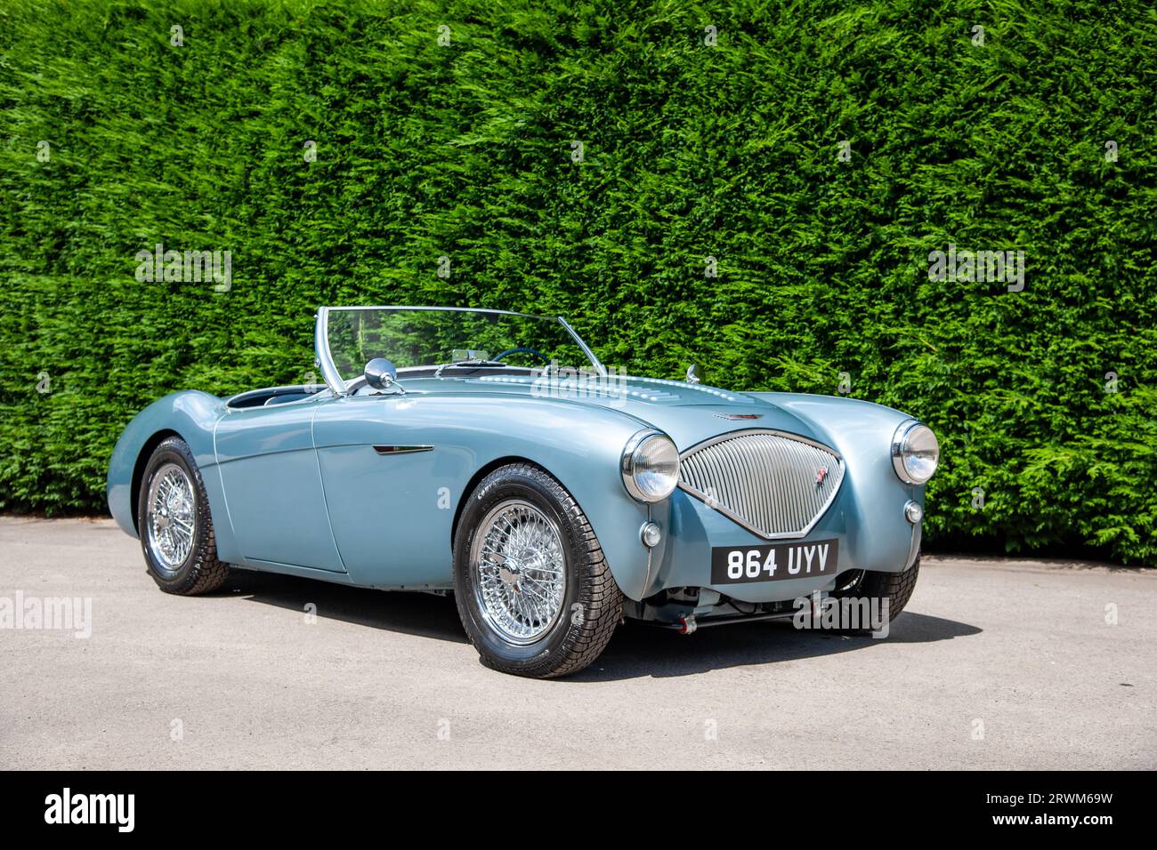 Austin Healey 100 Le Mans parked in front of a tall hedge on a sunny ...