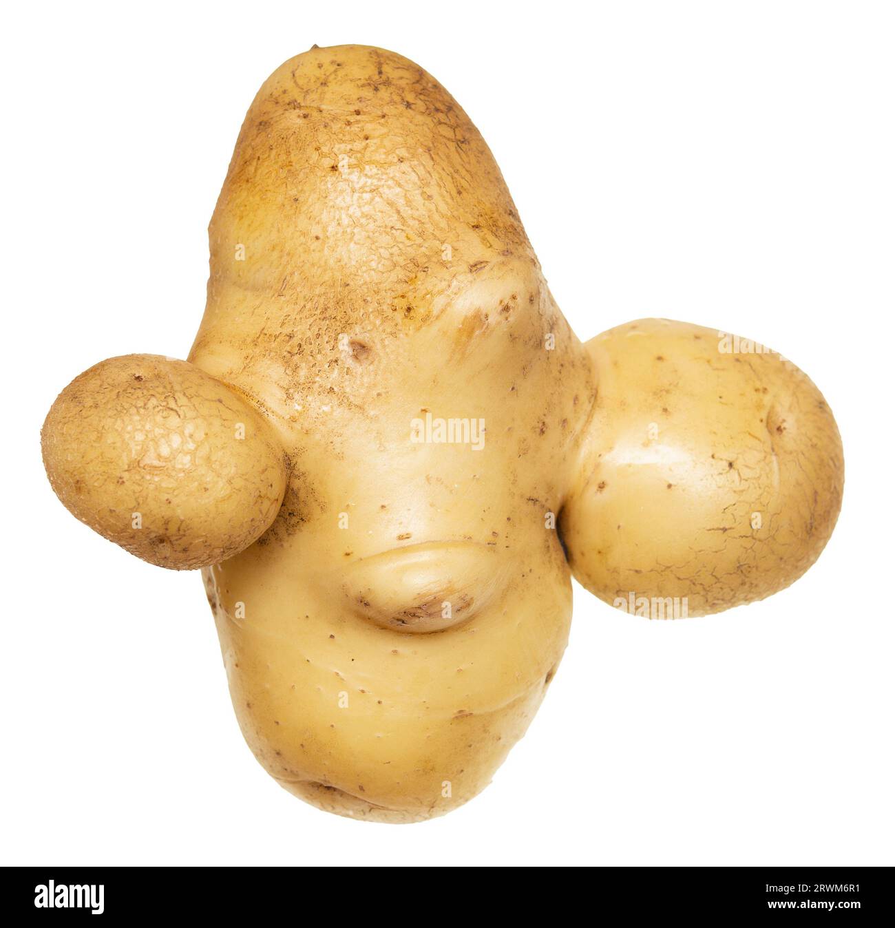 Ugly potato hi-res stock photography and images - Alamy