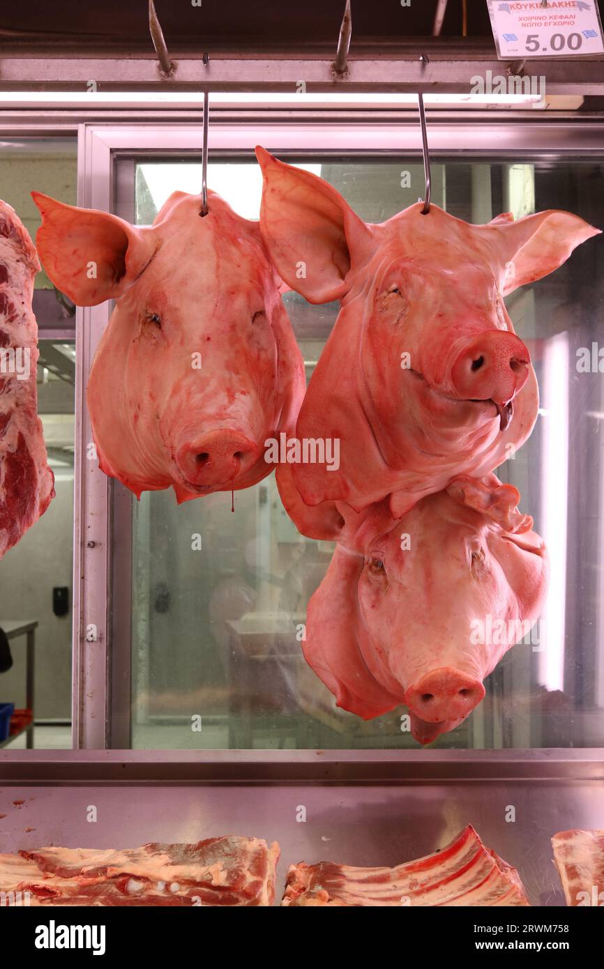 Pig heads hi-res stock photography and images - Alamy