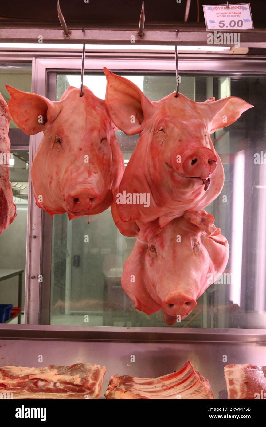 Pig heads hi-res stock photography and images - Alamy