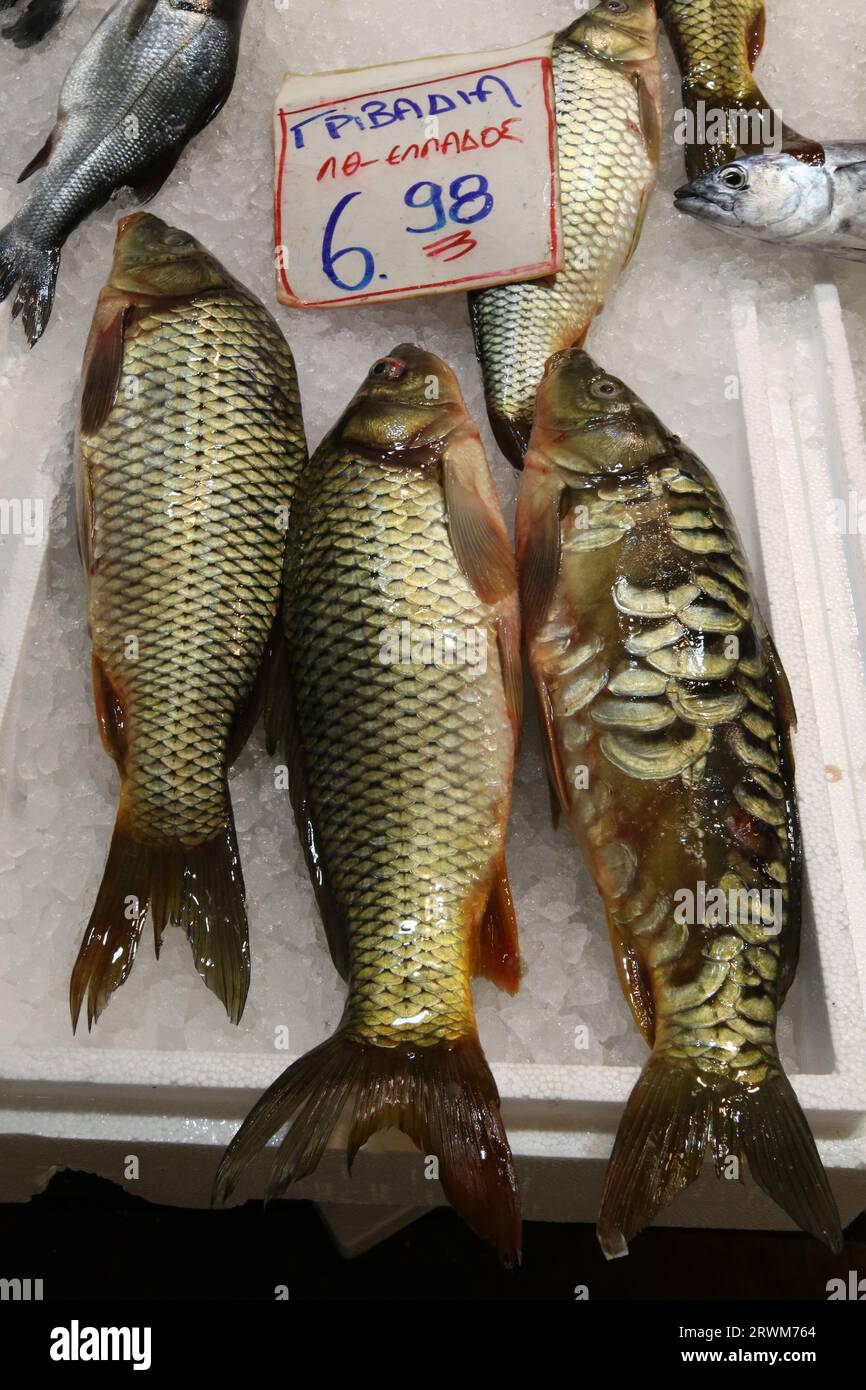 Athens central fish market hi-res stock photography and images - Alamy