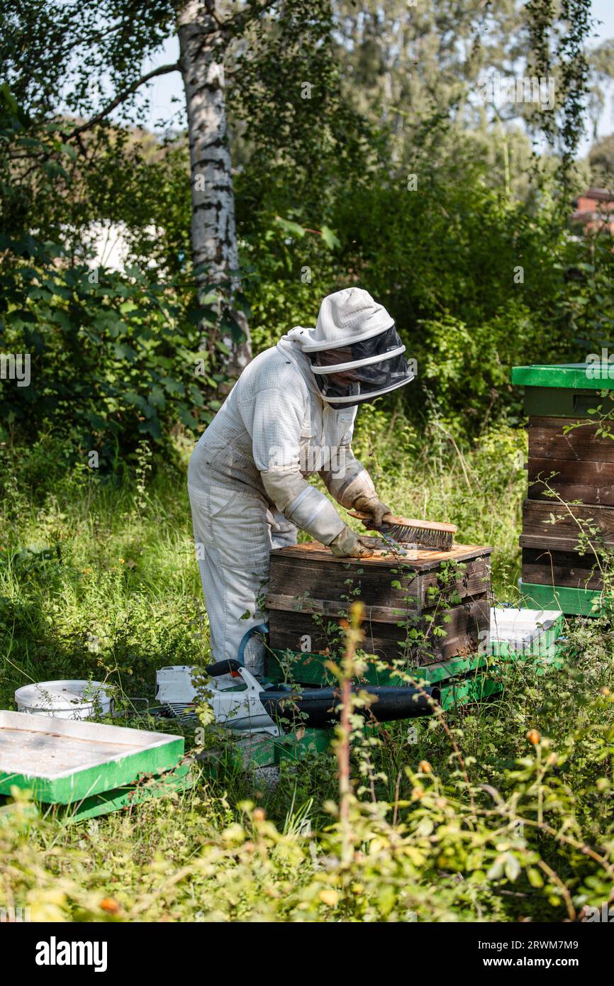 a beekeeper in protective attire tending to their beehives in a lush ...