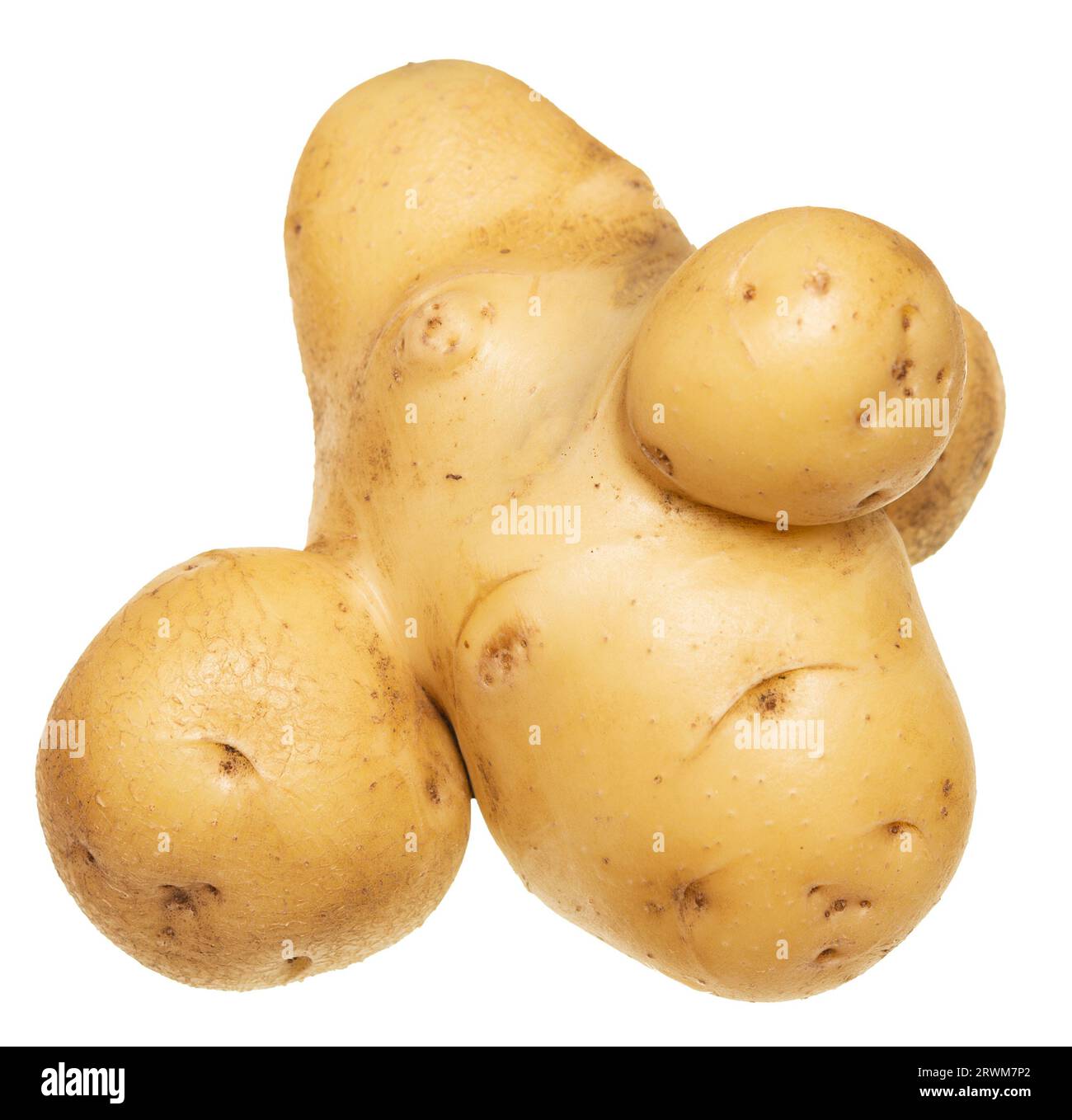 Ugly potato on white background Stock Photo - Alamy