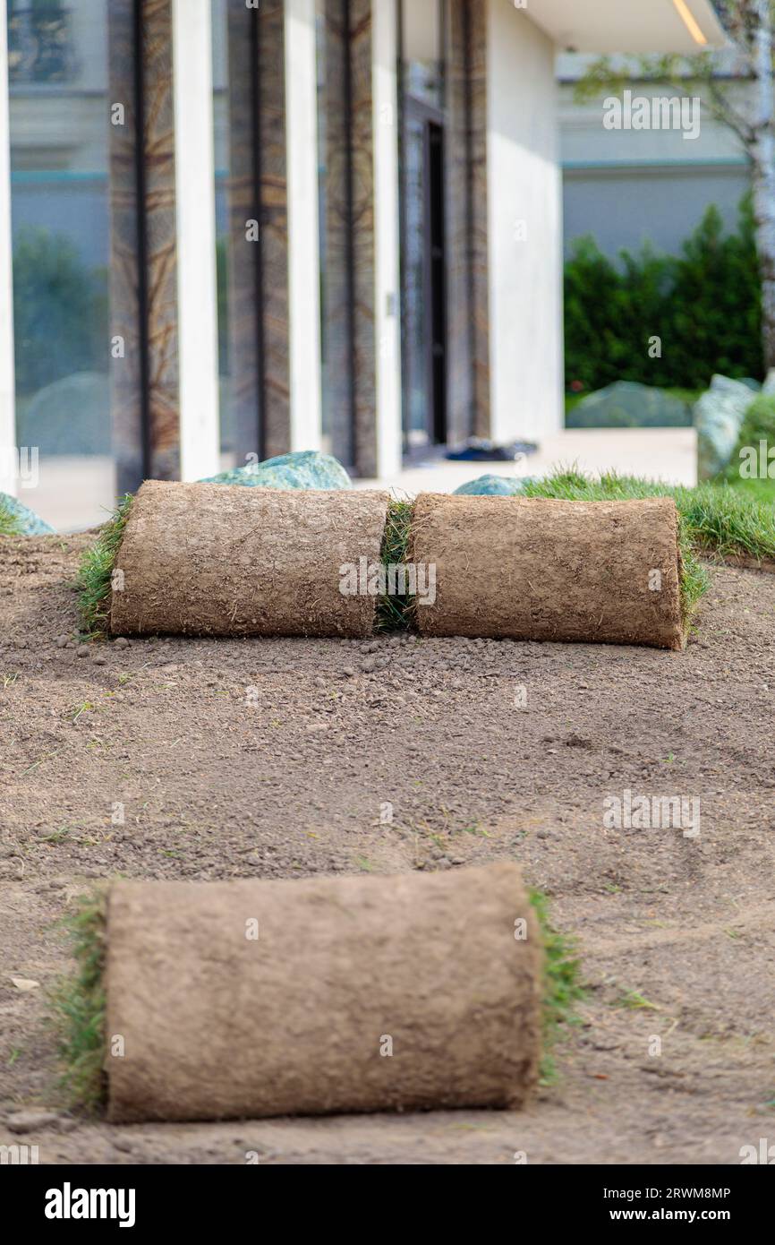 Lawn roll for landscaping the territory. Landscape design Stock Photo ...
