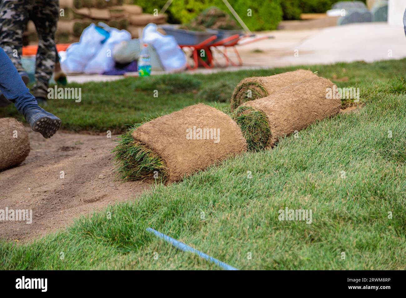 Lawn roll for landscaping the territory. Landscape design Stock Photo ...