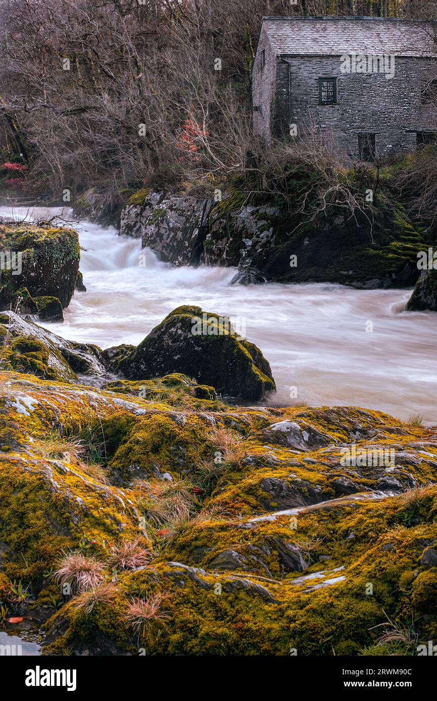Cenarth falls hi-res stock photography and images - Alamy