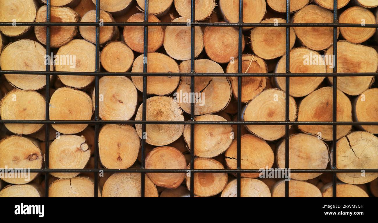 Front view of cut log woods stacks in a metal cage Stock Photo - Alamy