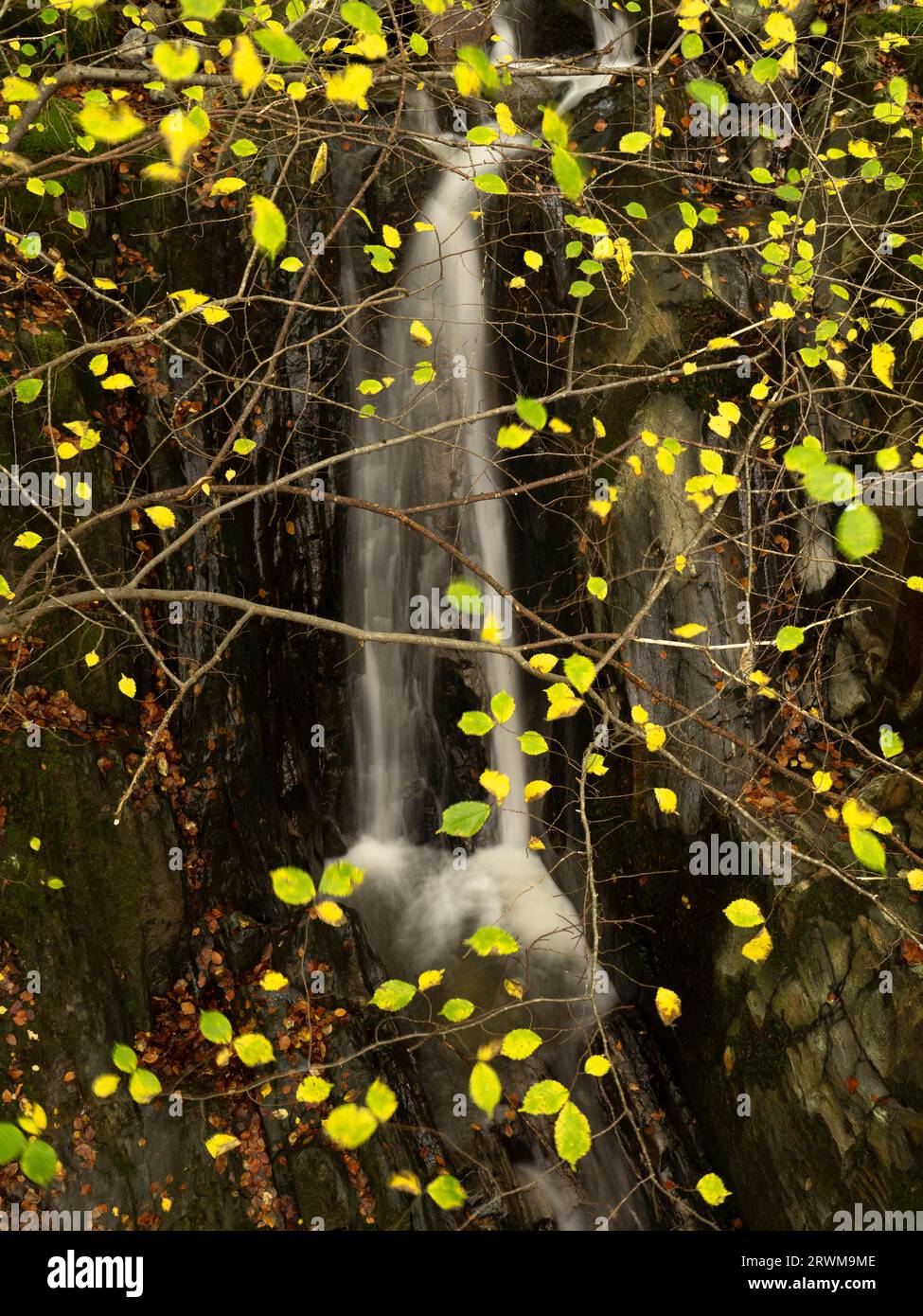 Rapids and falls on the River Garry at The Pass of Killiecrankie ...
