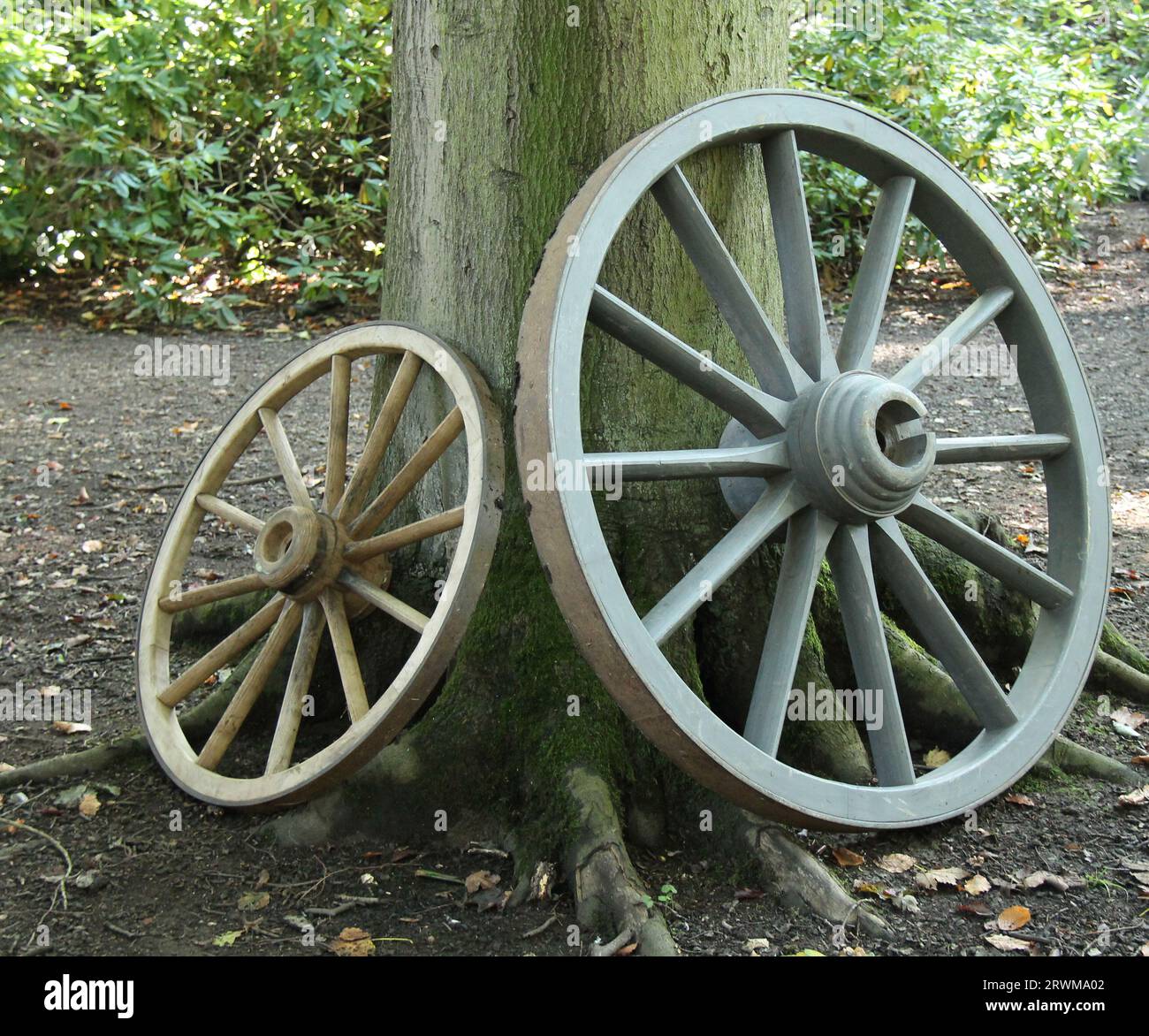 Two Traditional Wooden Cart Wheels Leaning on a Tree Stock Photo - Alamy