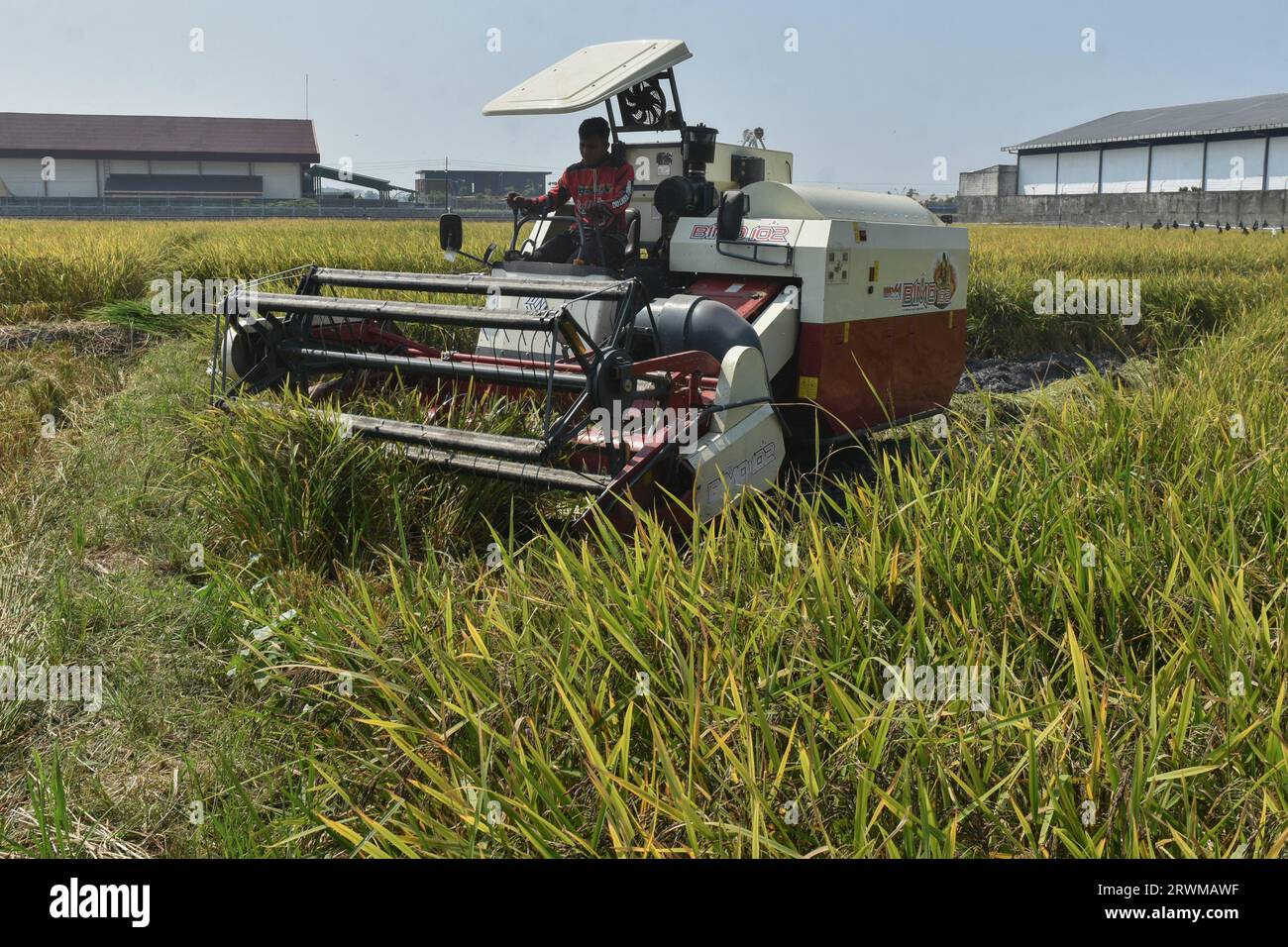 Malang, East Java, Indonesia. 20th Sep, 2023. some of workers harvest ...