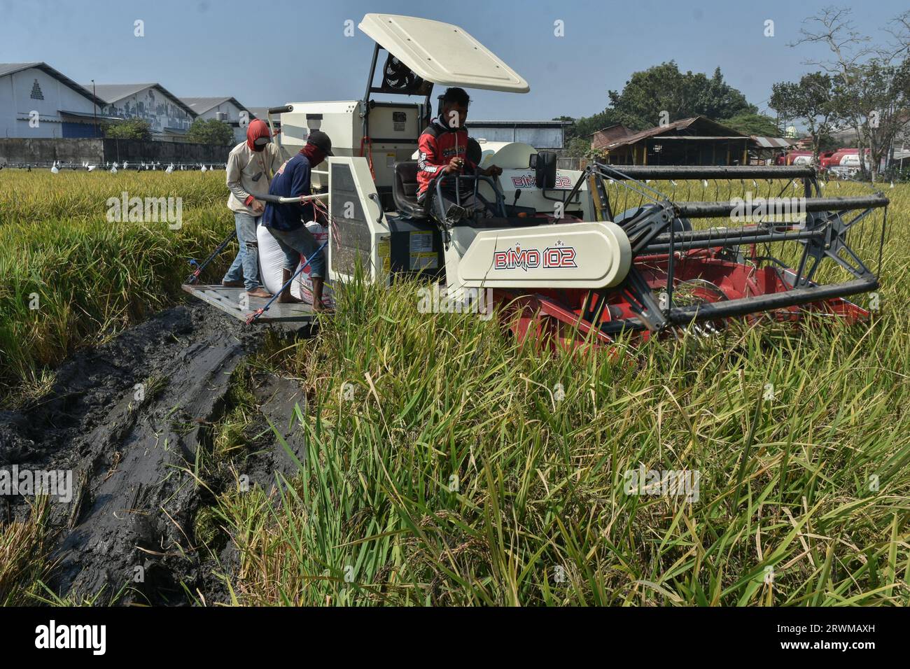 Malang, East Java, Indonesia. 20th Sep, 2023. some of workers harvest ...