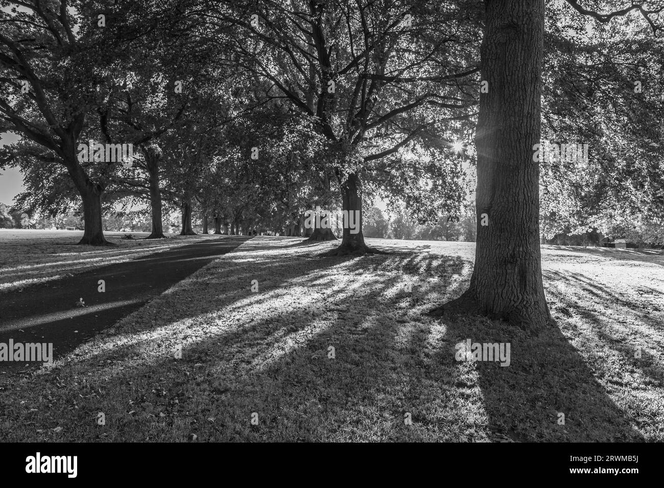 From setting sun Black and White Stock Photos & Images - Alamy