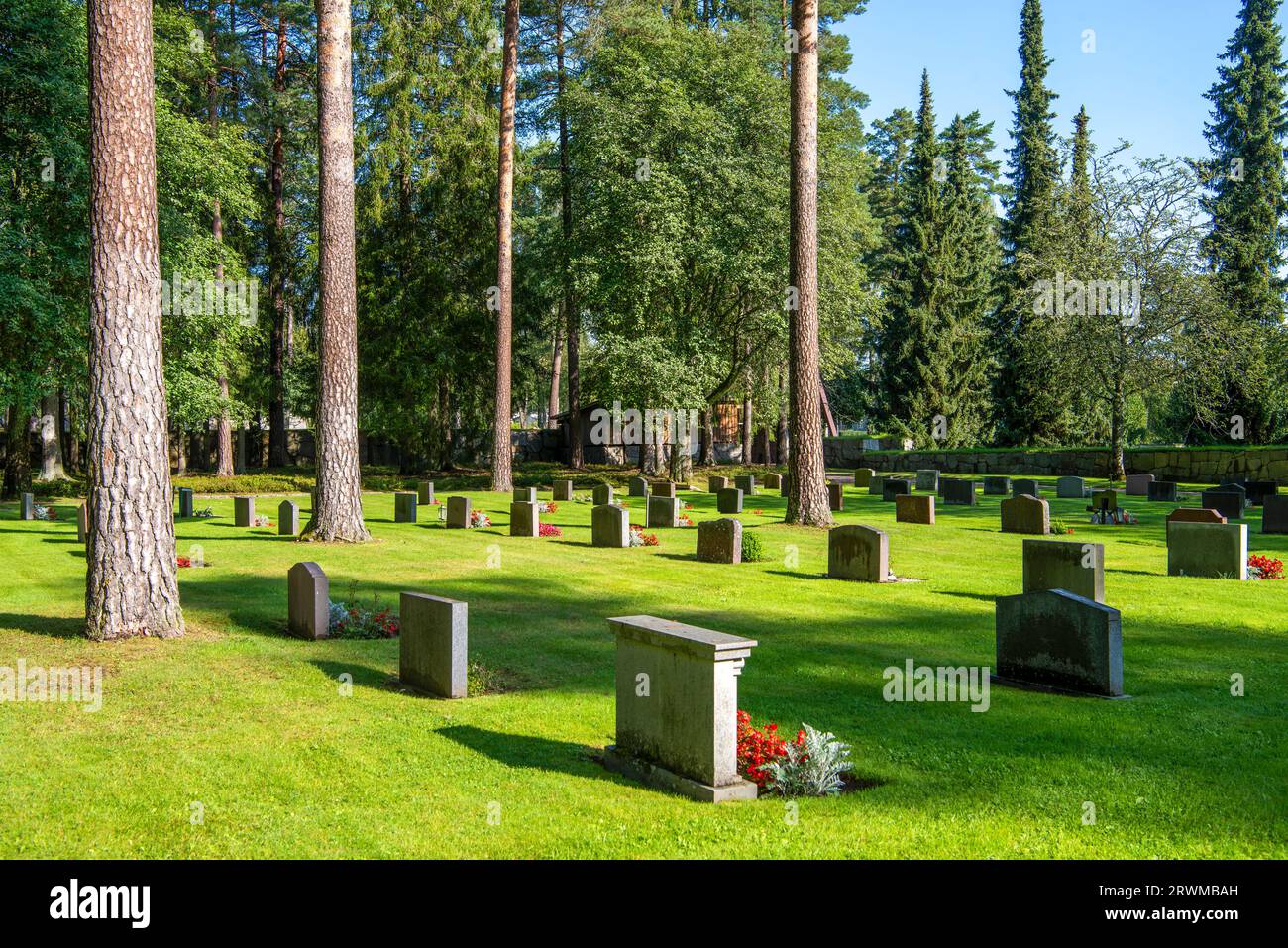 A forest cemetery Stock Photo - Alamy