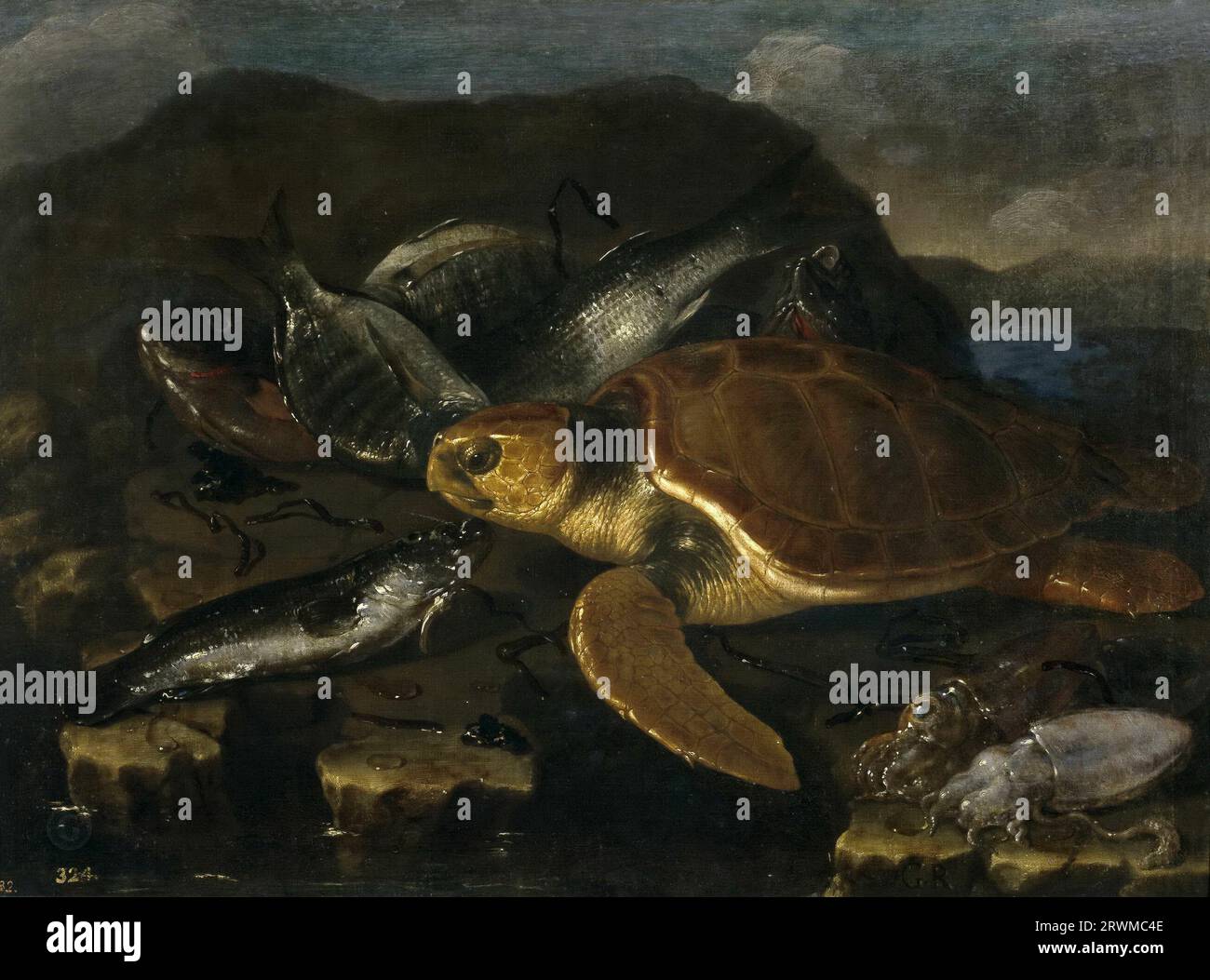 Od still hi-res stock photography and images - Alamy