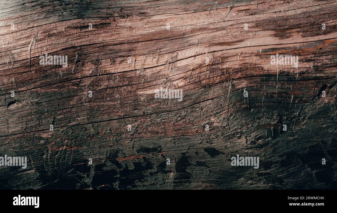Featuring elegant patterns hi-res stock photography and images - Alamy