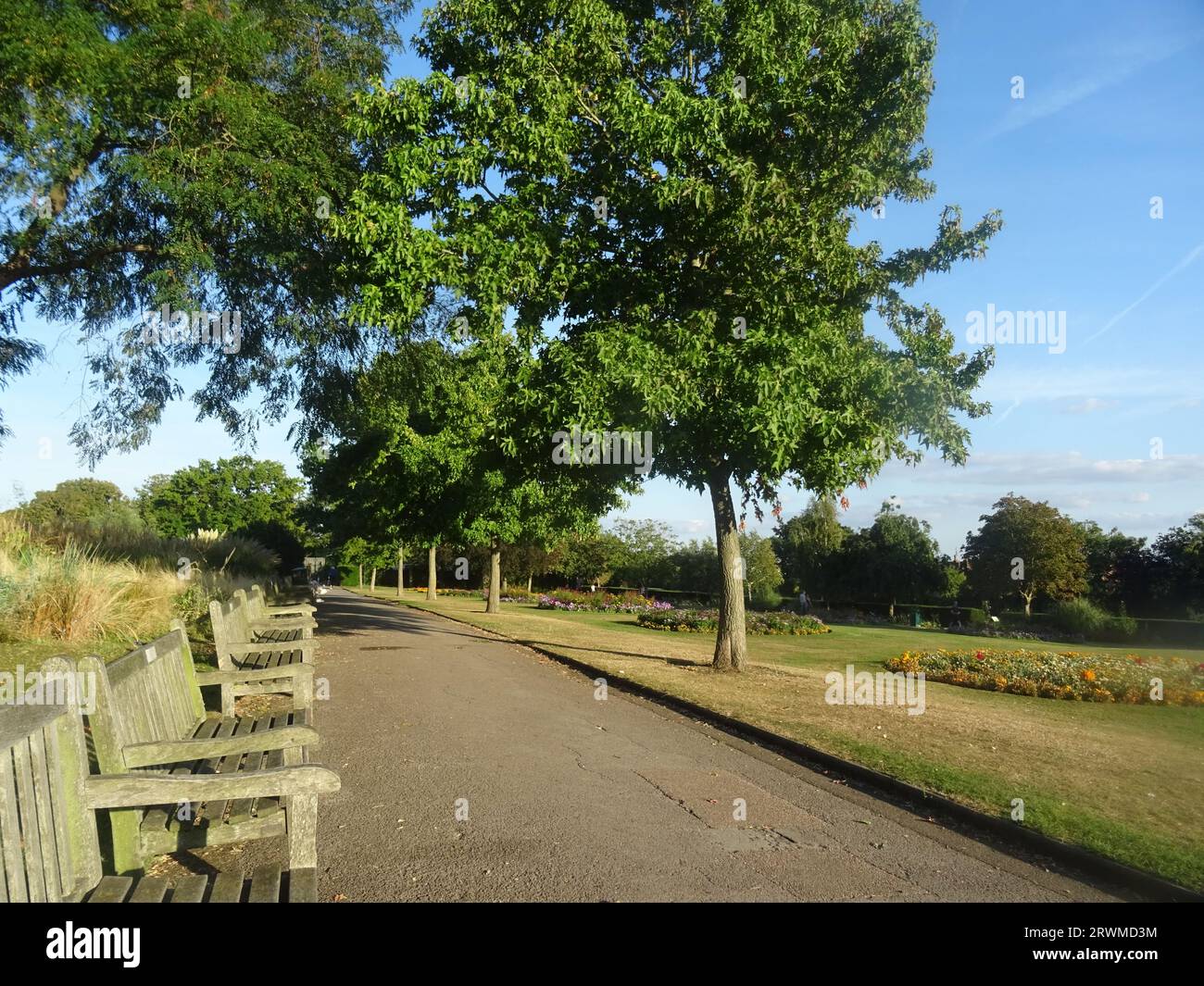 The wooden park benches situated in Chalkwell Park, England Stock Photo ...
