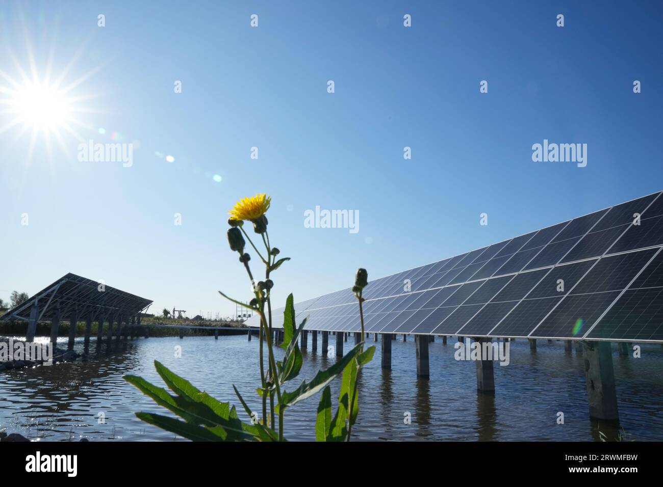 (230920) -- DAQING, Sept. 20, 2023 (Xinhua) -- This photo taken on Sept ...