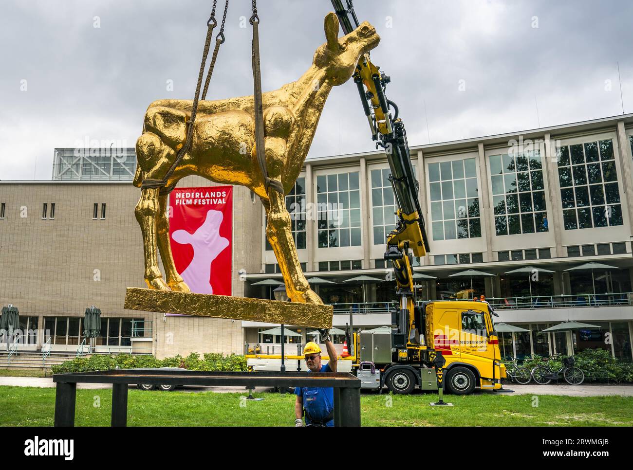 UTRECHT - The installation of the large Golden Calf statue, the icon of ...
