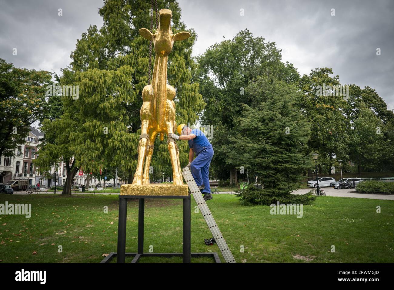 UTRECHT - The installation of the large Golden Calf statue, the icon of ...