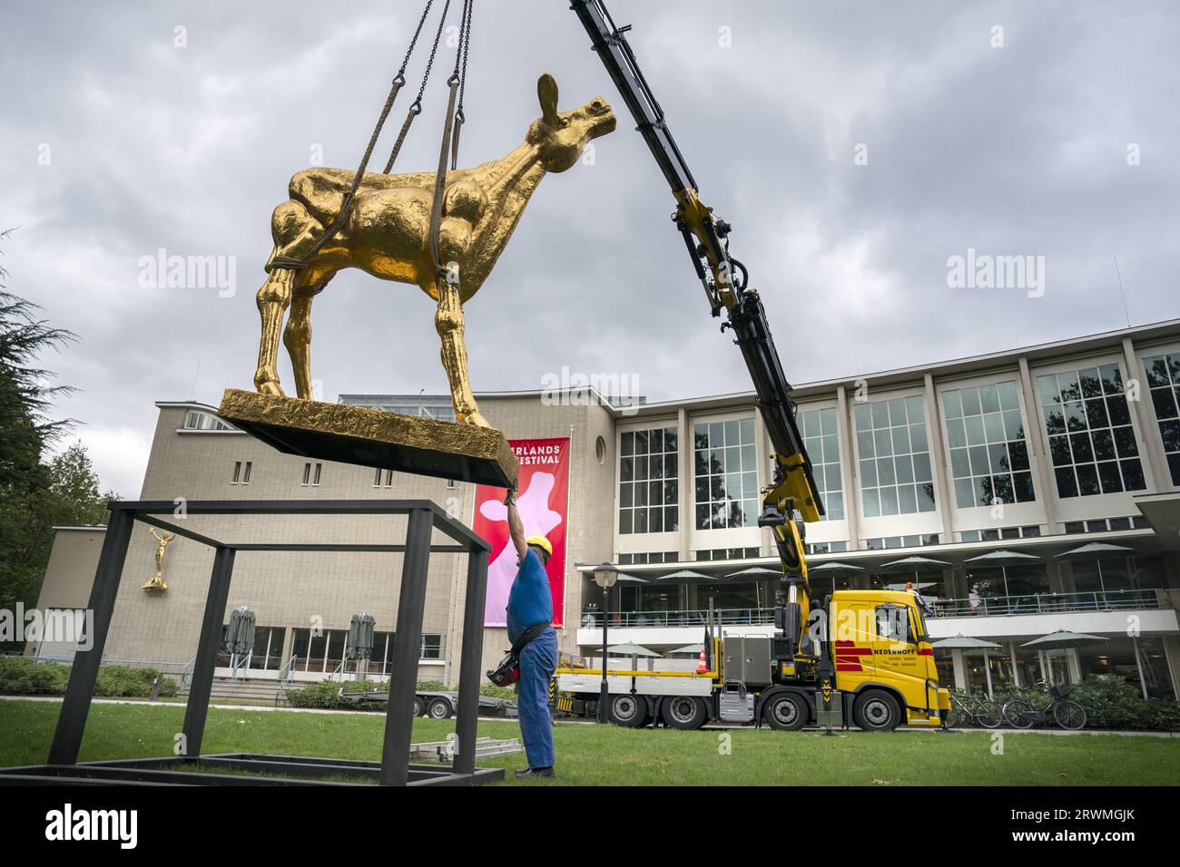 UTRECHT - The installation of the large Golden Calf statue, the icon of ...