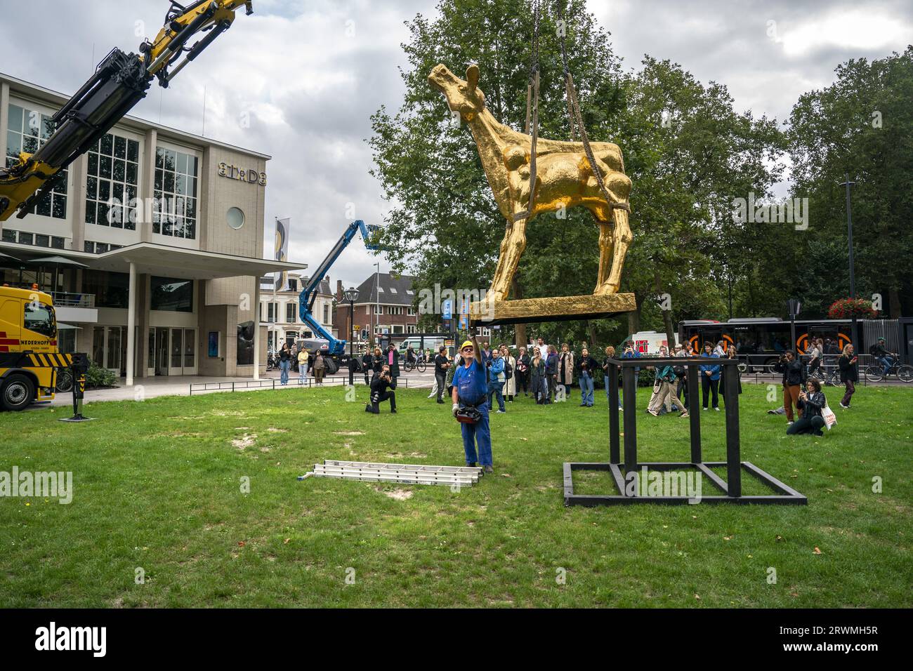 UTRECHT - The installation of the large Golden Calf statue, the icon of ...