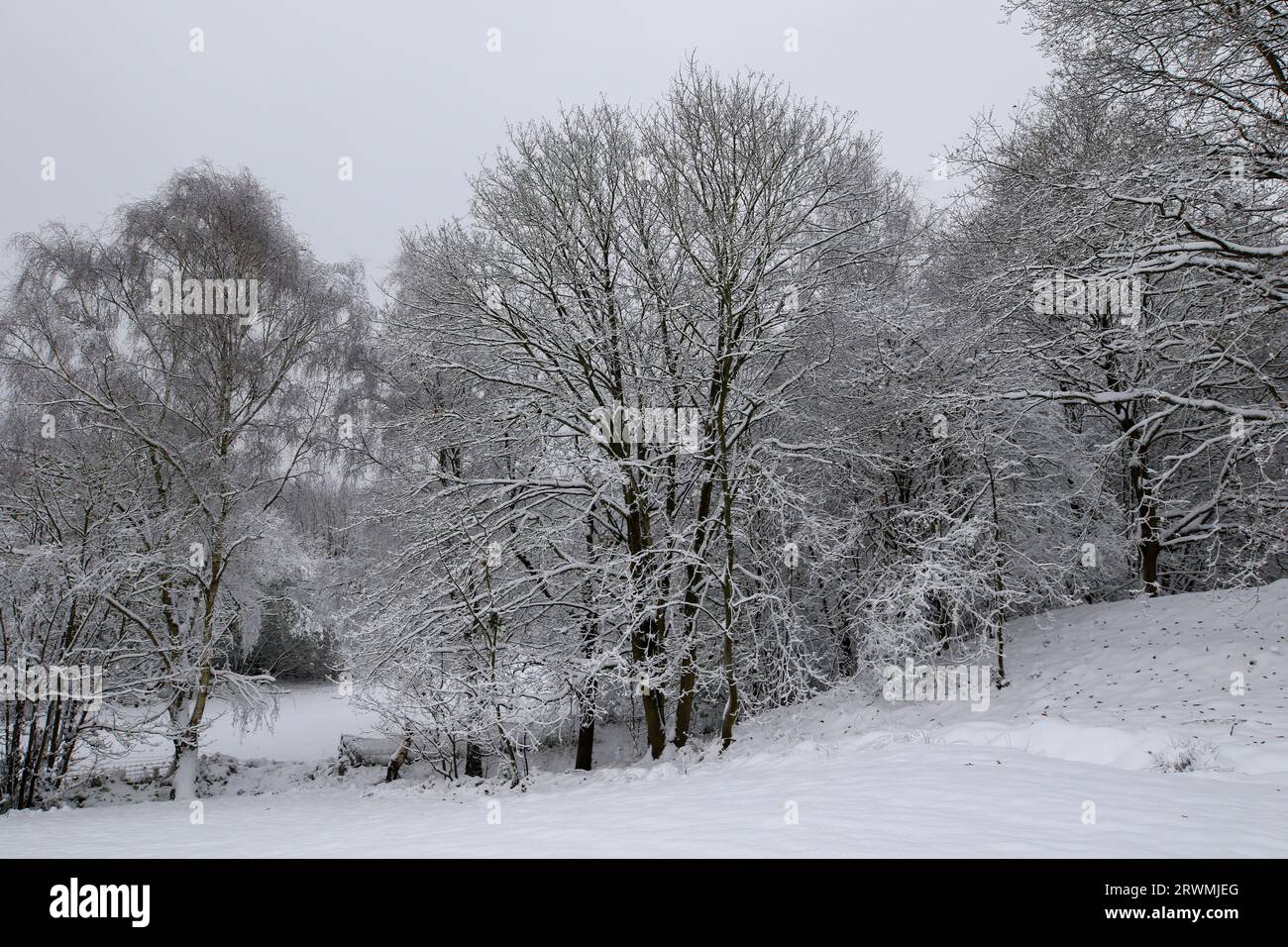 Snow scene in London, United Kingdom Stock Photo - Alamy