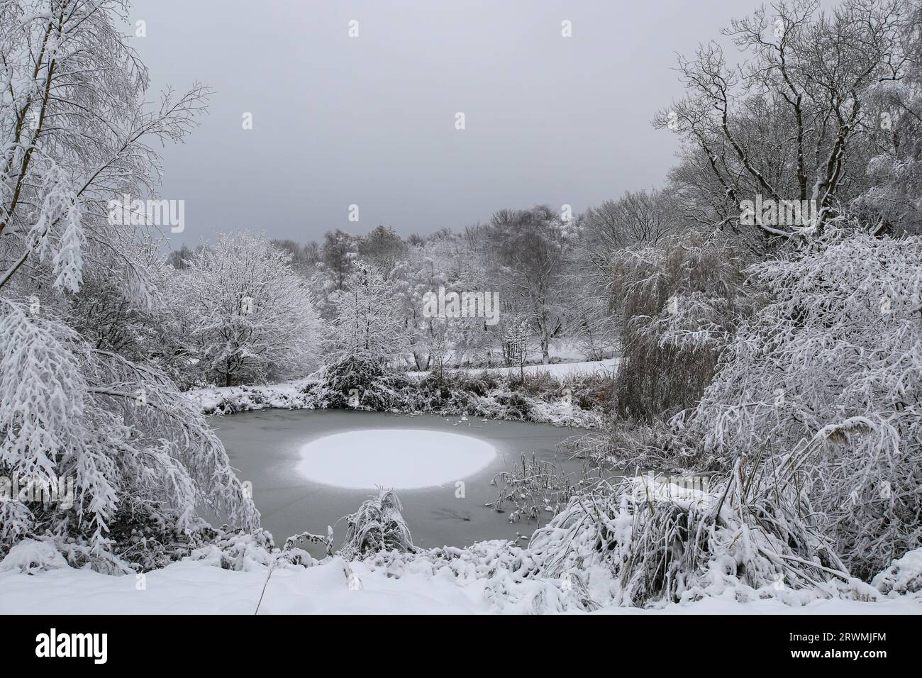 Frozen pond in the United Kingdom Stock Photo - Alamy