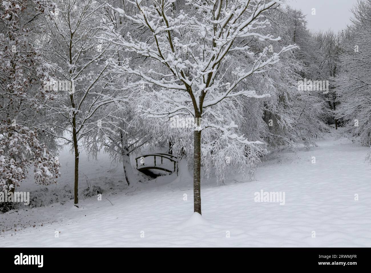 Snow scene in London, United Kingdom Stock Photo - Alamy