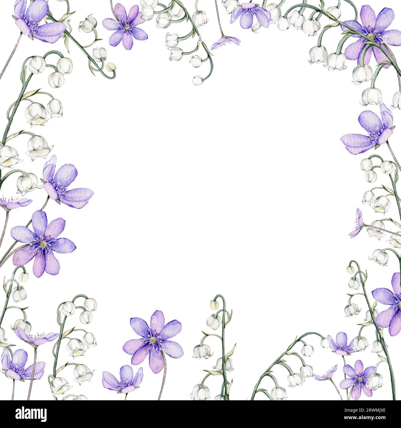 Frame watercolor spring flowers. Coppice, hepatica - first spring ...