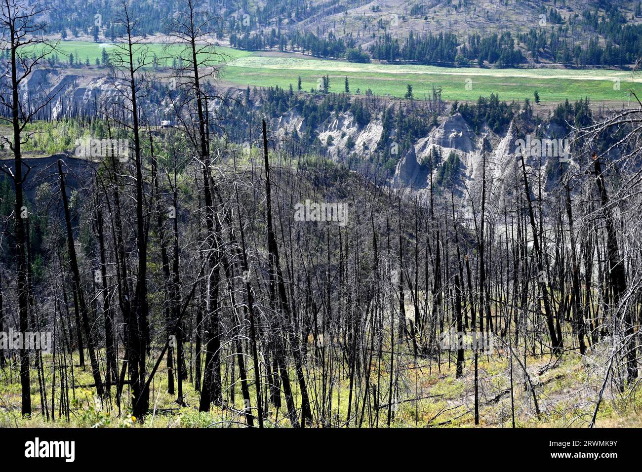 Canada wildfires damage hi-res stock photography and images - Alamy