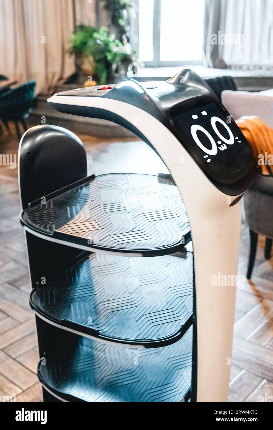 Cat robot waiter hi-res stock photography and images - Alamy