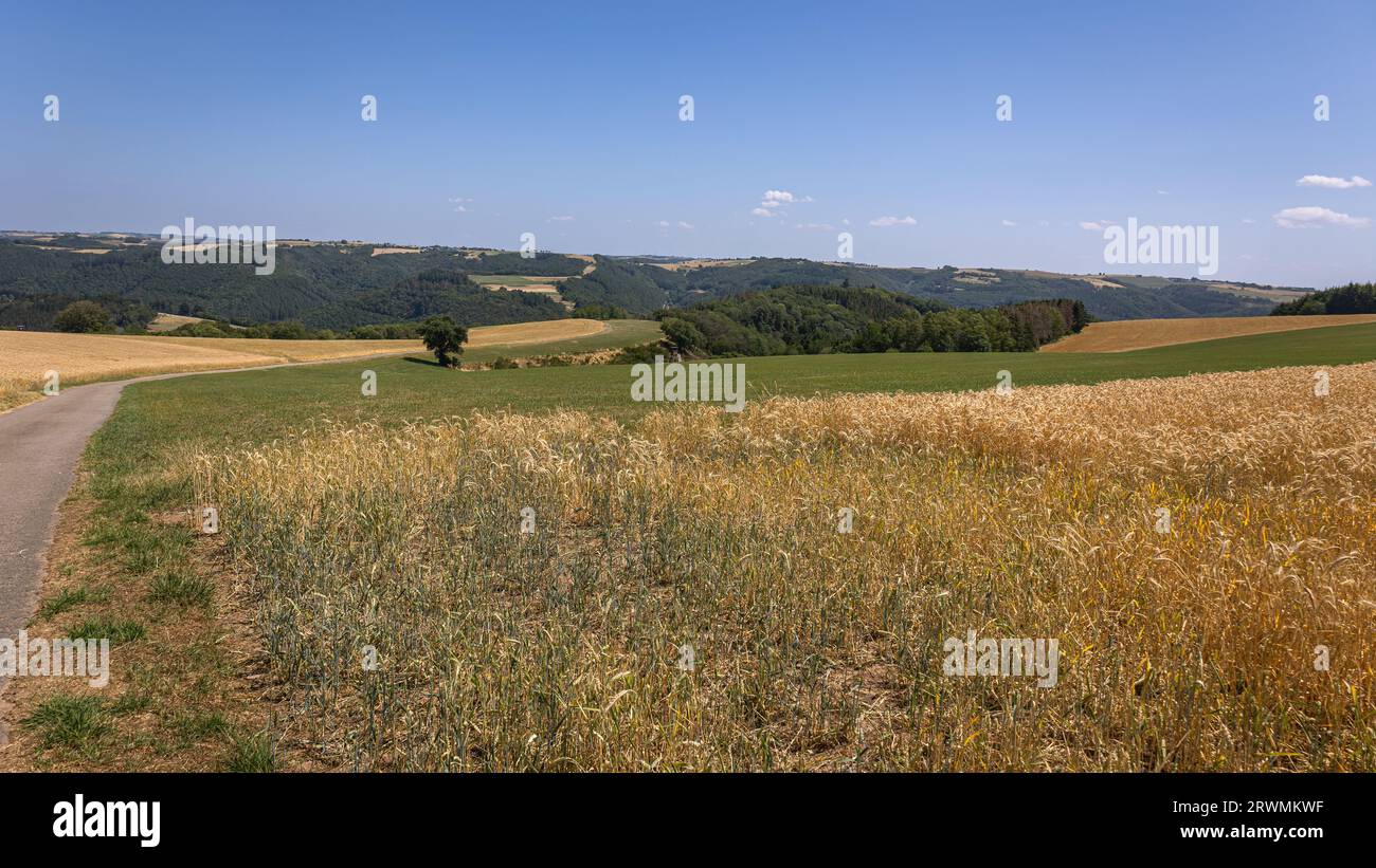 The landscape of Luxembourg near the Mullerthal nature reserve with ...