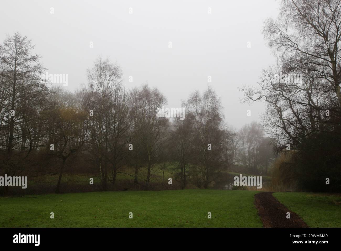 Misty forest scene and landscape, England Stock Photo - Alamy