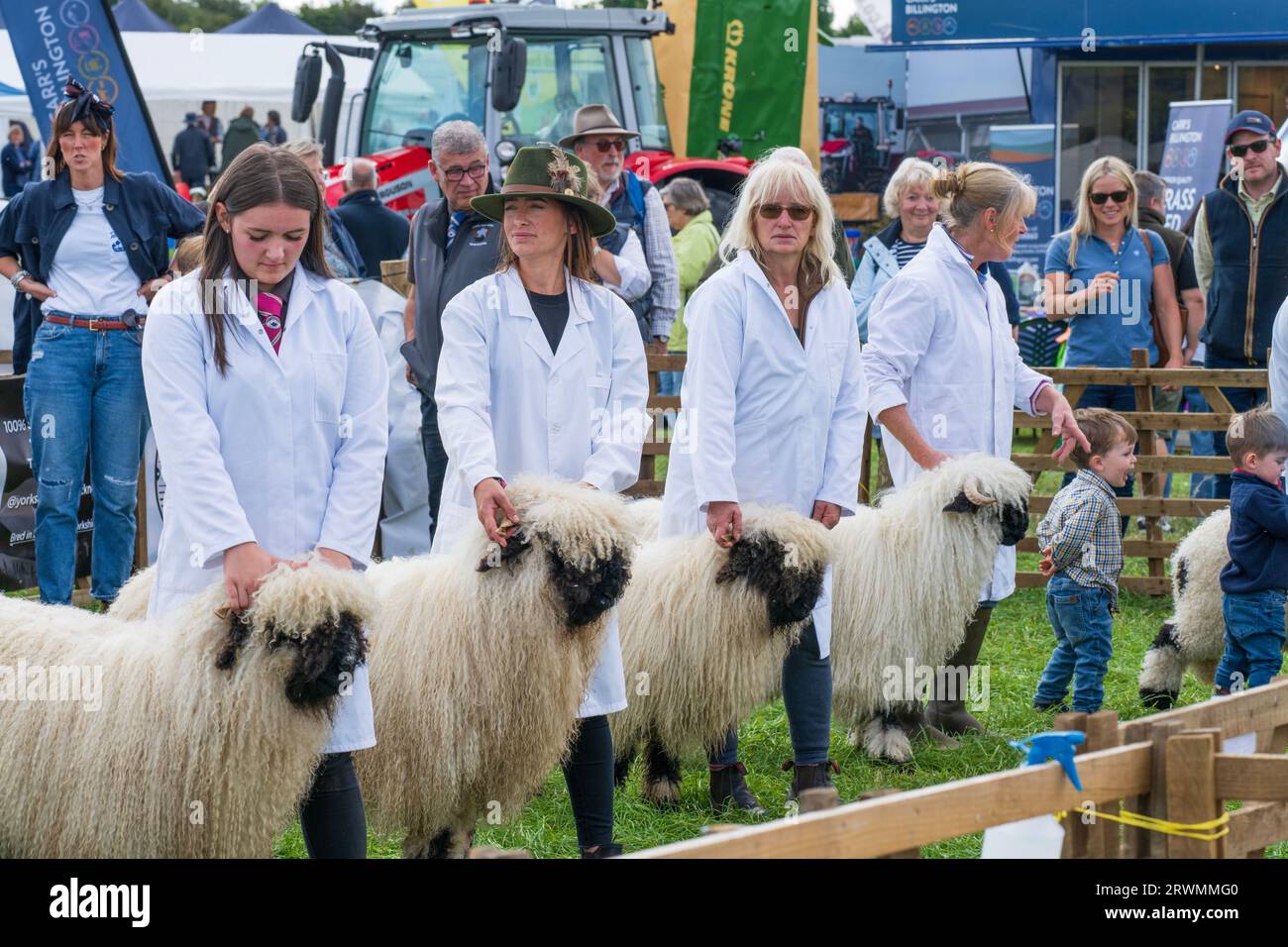 Women farmers with their Valais Blacknose rare breed sheep competing at the Leyburn Annual ...