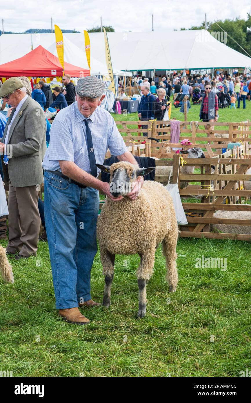 An elderly farmer with his sheep competing at the Leyburn Annual Agricultural Show 2023 Stock ...