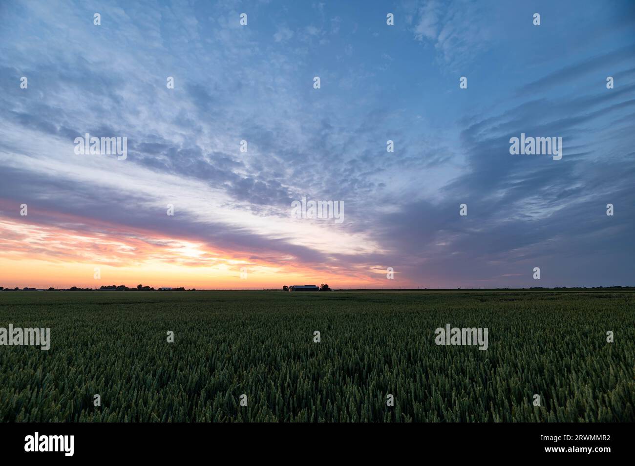 Endless plains hi-res stock photography and images - Alamy