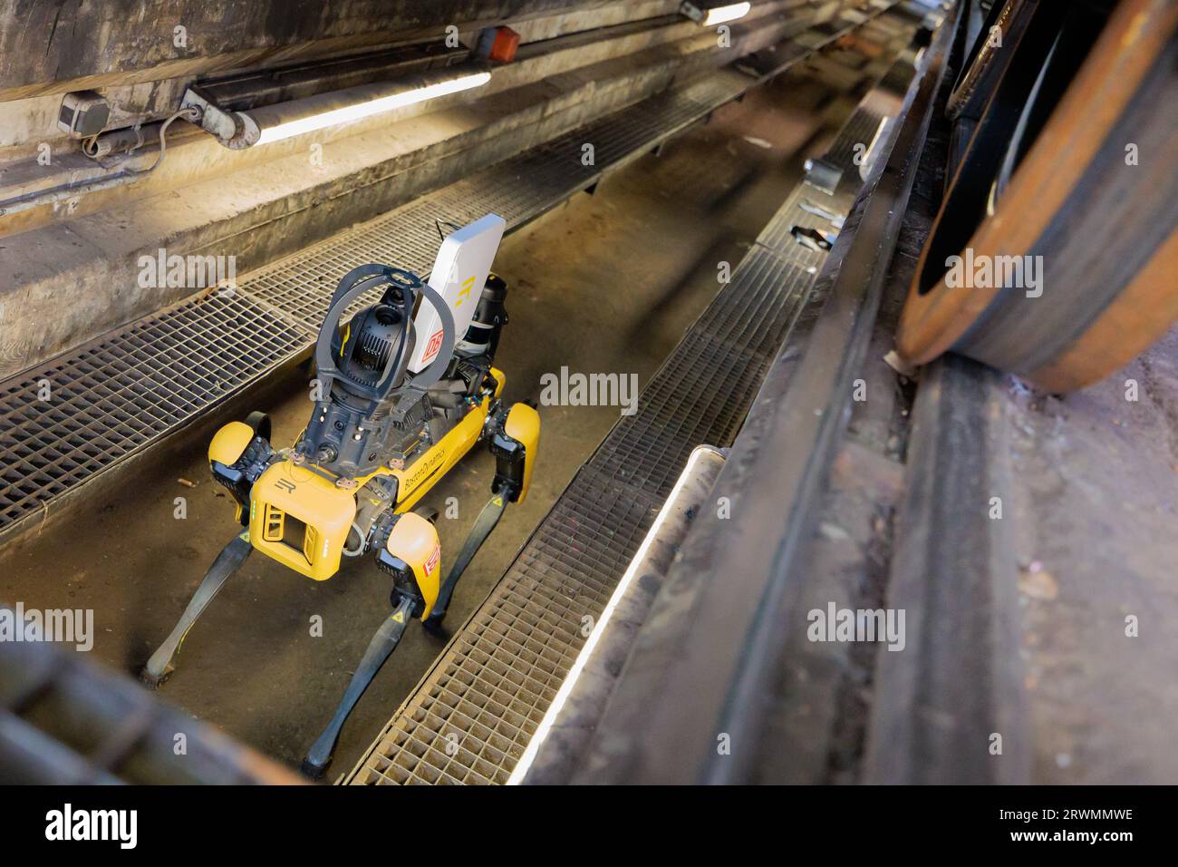 Bischofsheim, Germany. 20th Sep, 2023. Robot dog "Spot" for digital ...