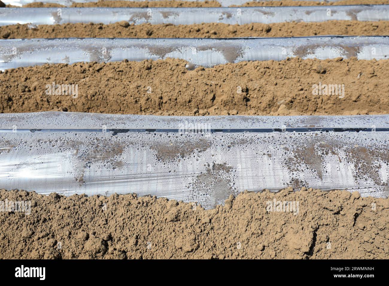 Plastic film and drip irrigation pipeline in farmland, North China ...