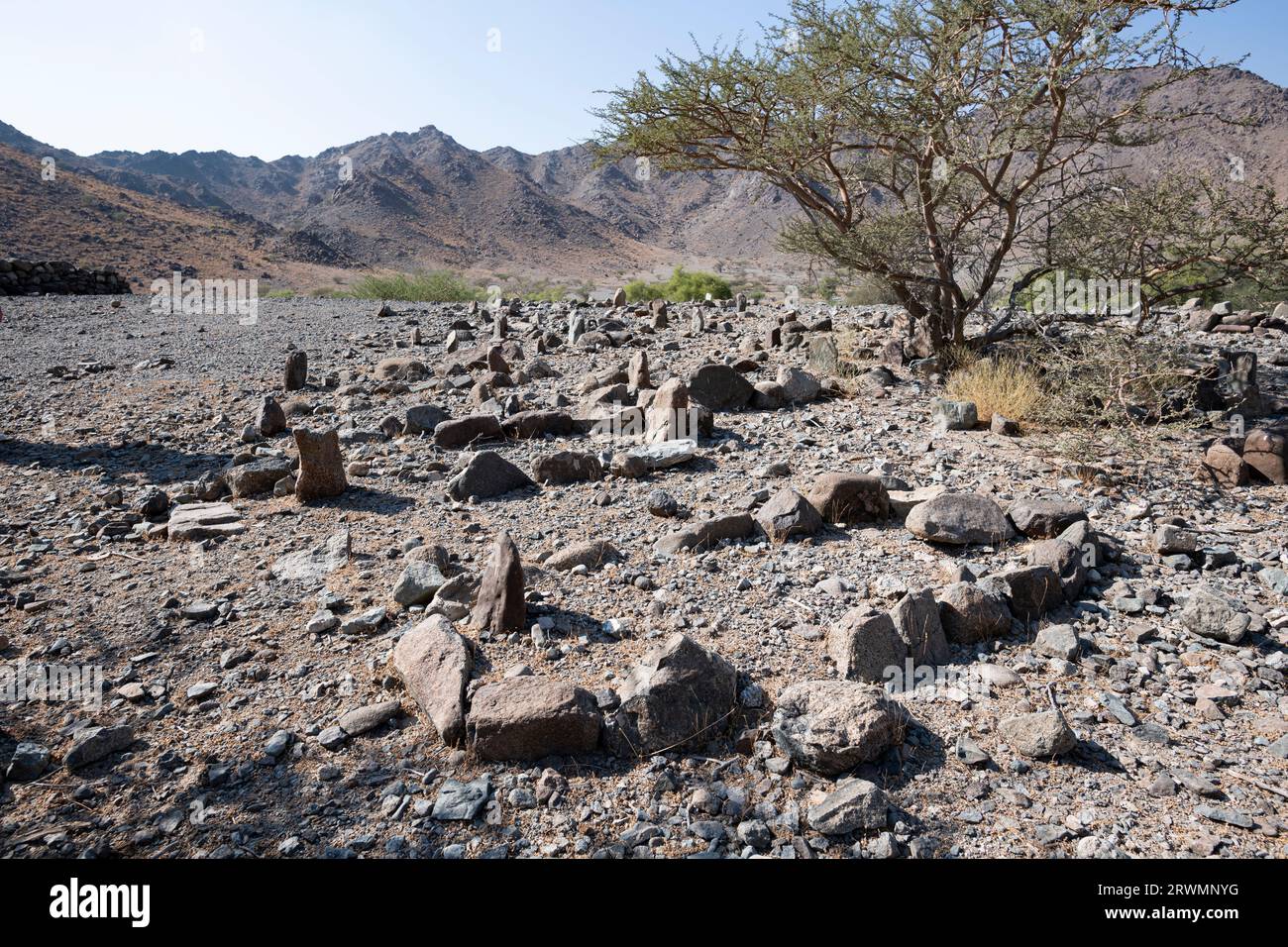 Ancient Gravestone in a muslim cemetery in the Mountains of the United ...