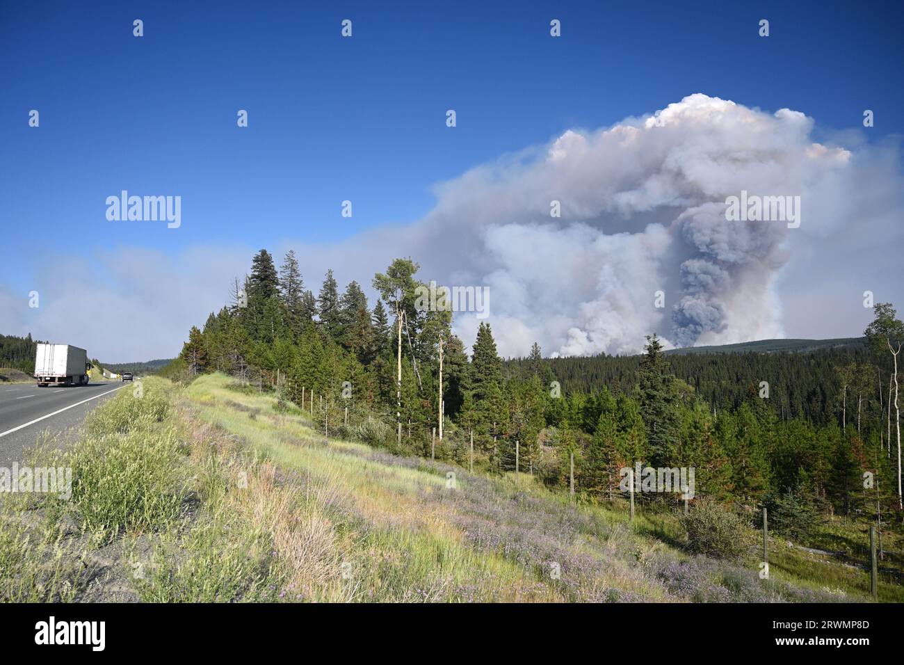 Wildfire in Canada. Smoke from a wildfire rise in sky above forest ...