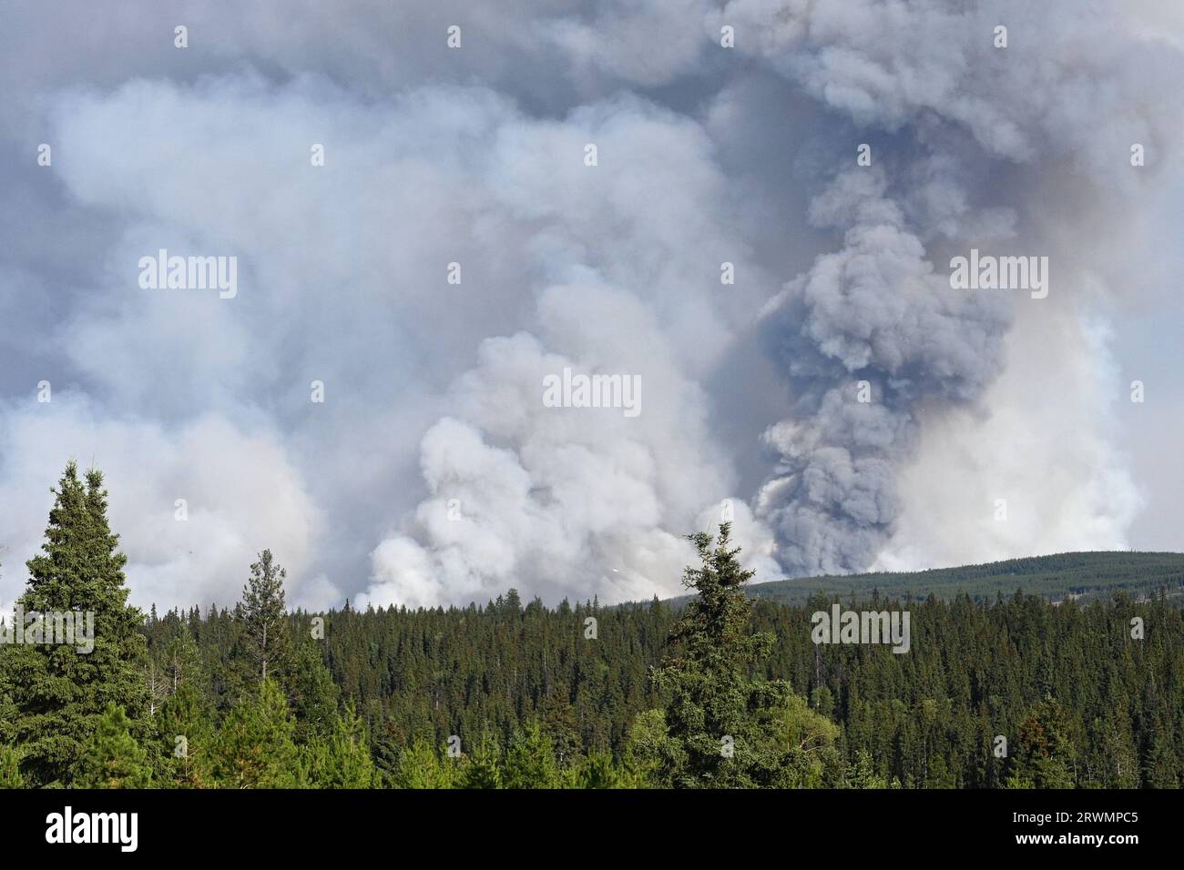 Wildfire. Smoke from a wildfire rise in sky above the forest Stock ...
