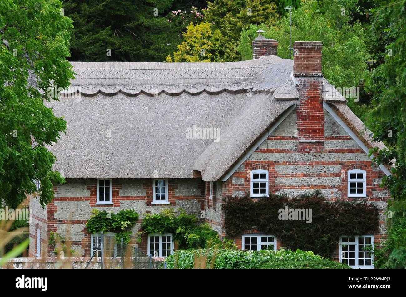 Thatched cottage in Up Cerne village, Dorset Stock Photo - Alamy