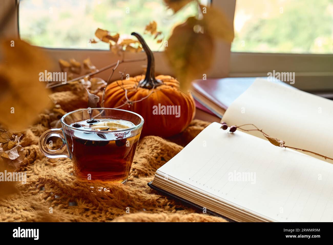 Reading in fall season. Open book and cup of tea on knitted plaid with ...