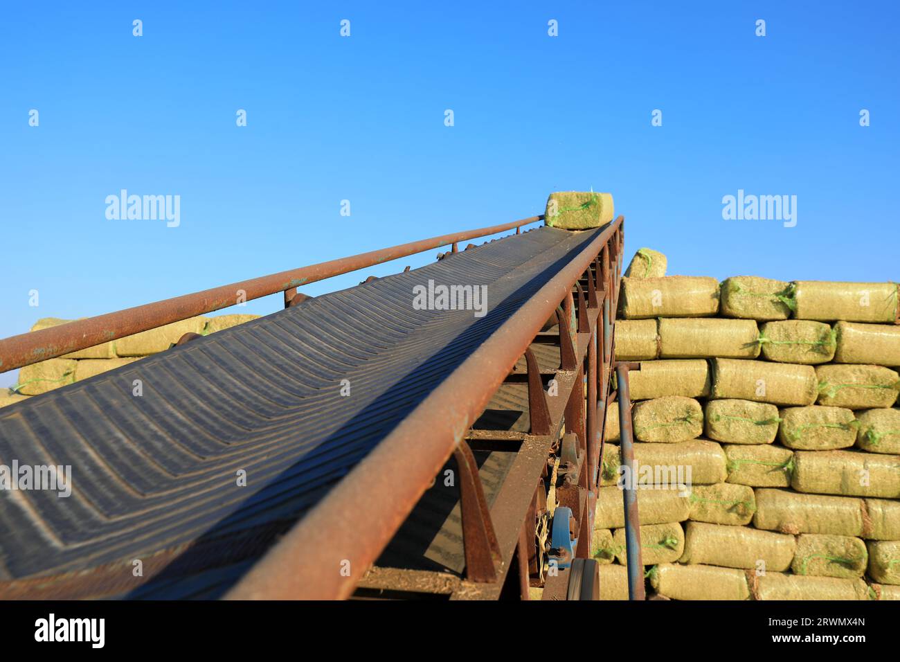 Work site of straw processing into feed, North China Stock Photo - Alamy