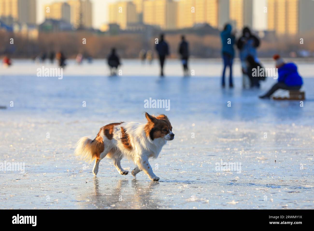 Crawling ice hi-res stock photography and images - Alamy