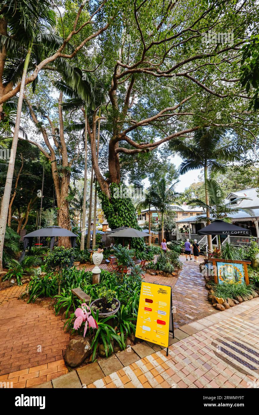 Historic Town of Montville in Queensland Australia Stock Photo - Alamy